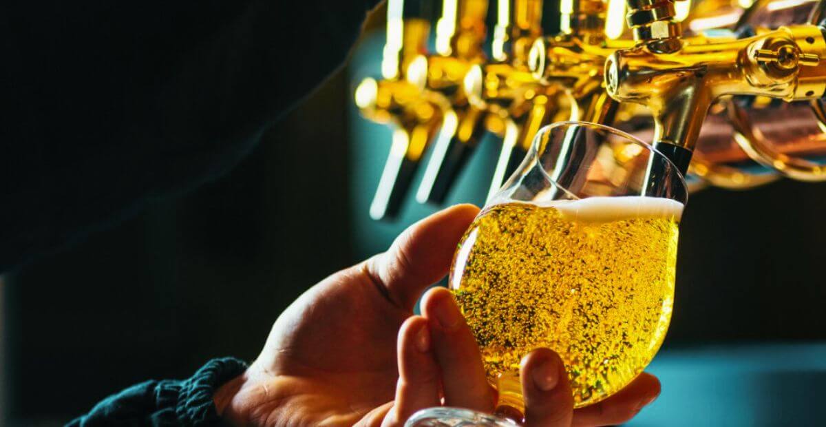 Value Chain Analysis of Beer Industry - SCM Insight